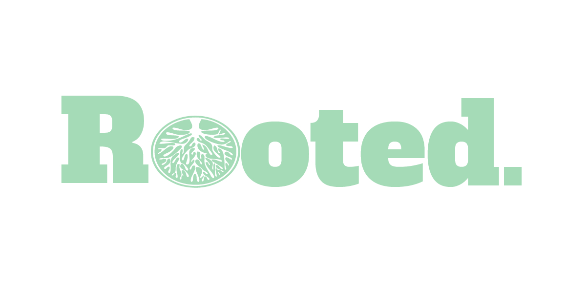 Rooted Group Launches its Cannabis Wholesale Marketplace for the rest ...