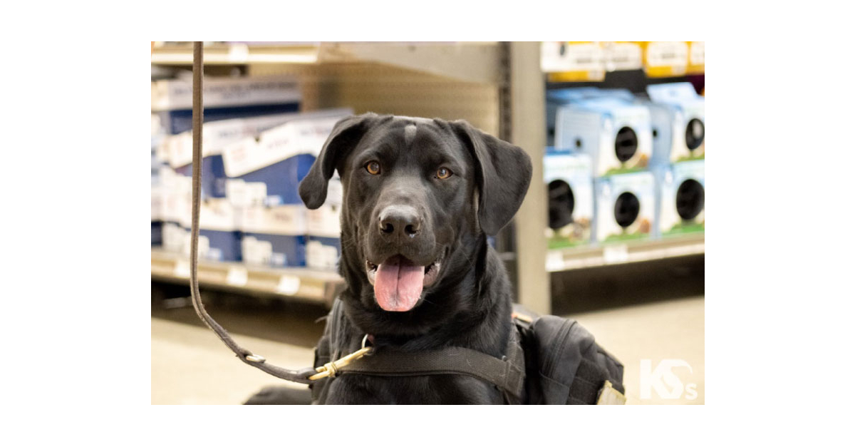 American Water Charitable Foundation and American Water Military ...