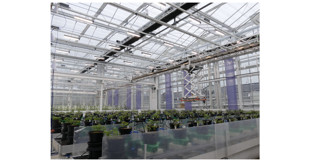 Fluence VYPR Selected as Supplemental Lighting Solution for Wageningen ...