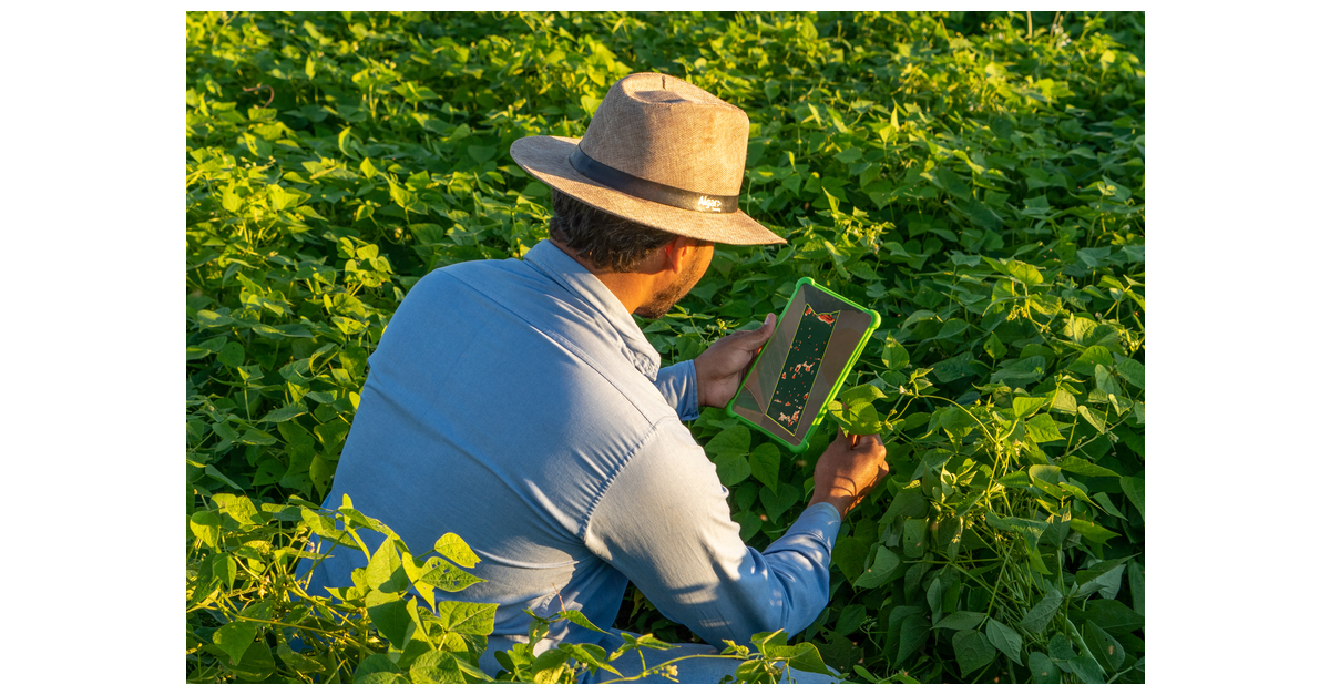 Syngenta Launches World’s First Commercial Digital Tool to Detect ...