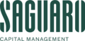 Saguaro Capital Management Launches Next-Generation Value Investment Firm | Business Wire
