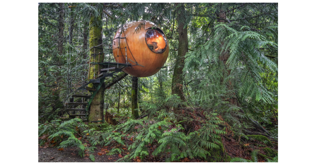 reAlpha Partners with RARE Treehouse Resorts to Bring First-of-Its-Kind ...