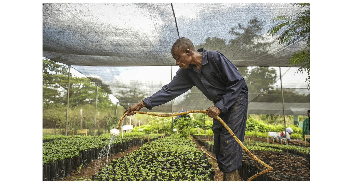 Terraformation Launches World’s First Biodiversity-focused, Carbon ...