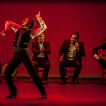 Duende Flamenco Festival Returns to The Aga Khan Museum for Its Eighth ...