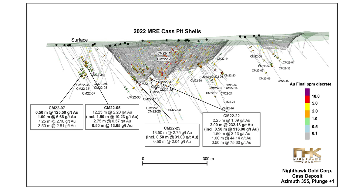 Nighthawk Gold Reports 916.00 g/t Au over 0.50 m (with 232.18 g/t over ...