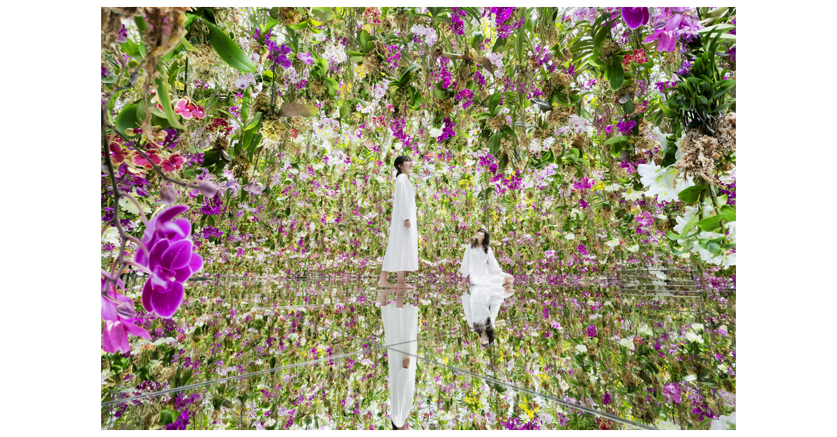 teamLab Planets TOKYO: le nombre de billets achetés à l'étranger est en ...