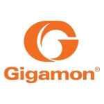 Gigamon Deep Observability Pipeline Fundamentally Enables the DOD Zero Trust Strategy and ...