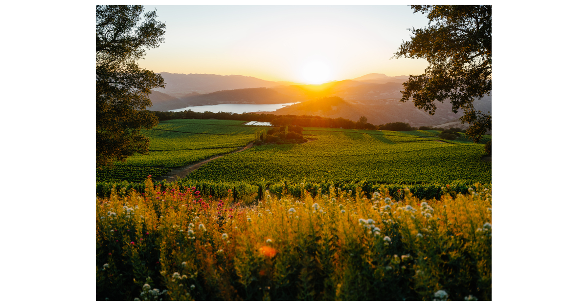 Chappellet Becomes the Only American Winery to Be Named a Relais ...