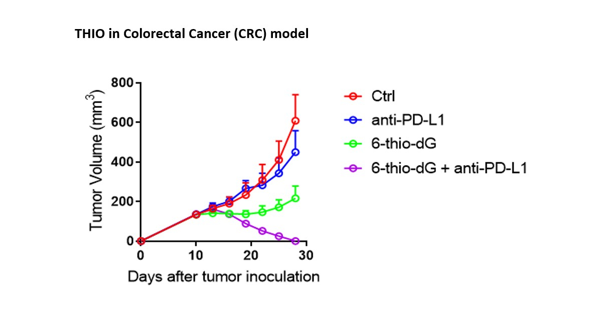 ADDING MULTIMEDIA: MAIA Biotechnology’s Telomere-targeting Agent THIO ...
