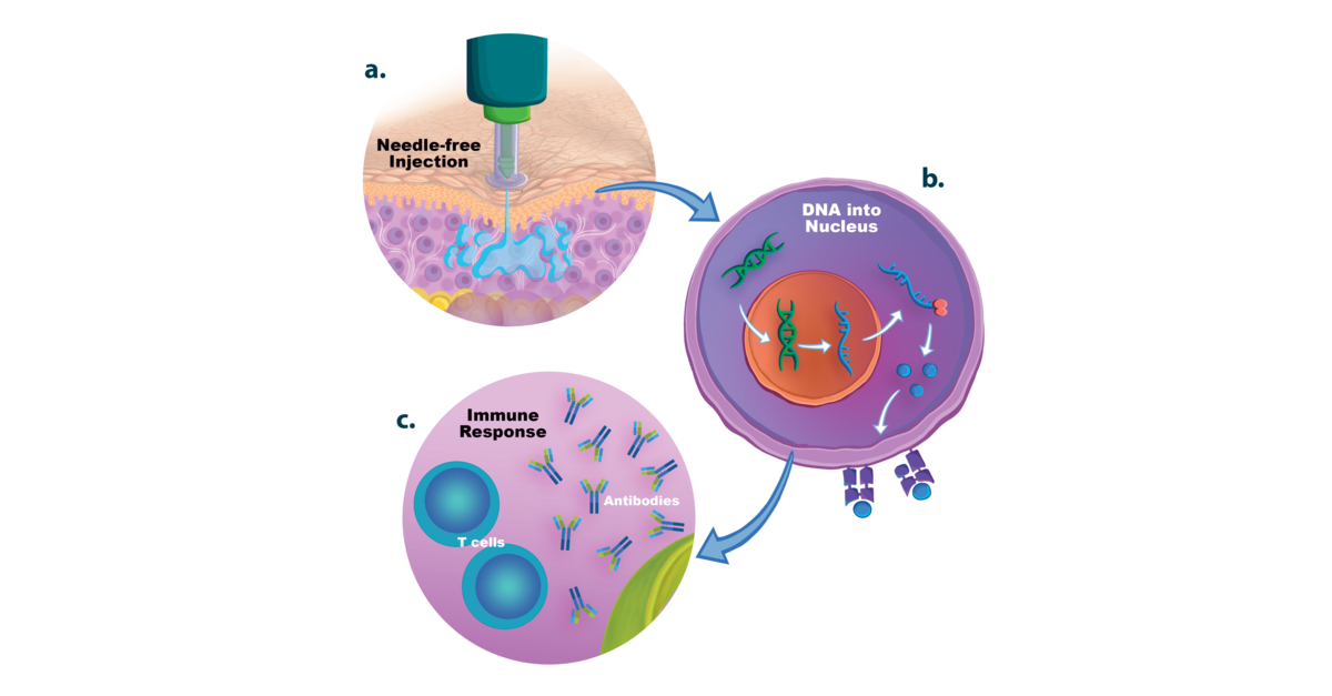 Review Highlights Growing Evidence That PharmaJet’s Precision Delivery ...
