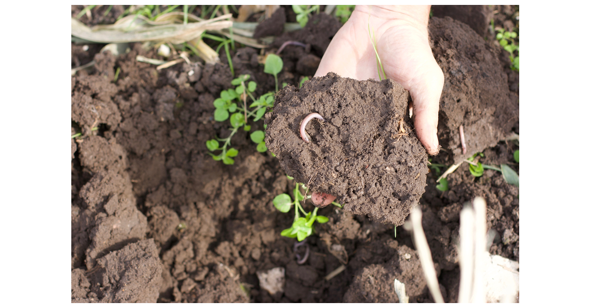 Farmers’ Fintech Agreena Raises €46M to Scale the Regenerative ...