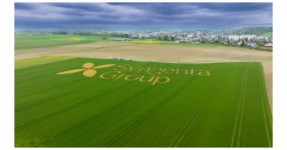 Syngenta Group Logo grüsst beim Landeanflug | Business Wire