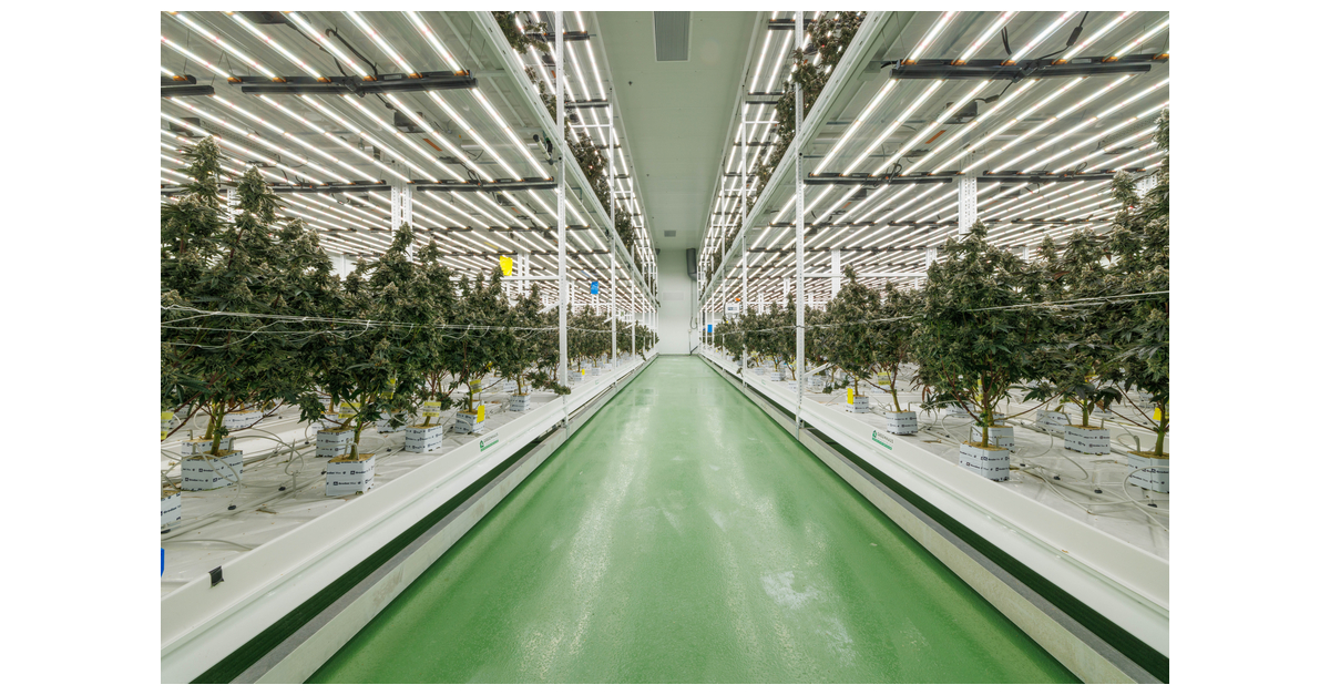 Fluence LED Solutions Pave the Way for Optimizing Success in Urban ...