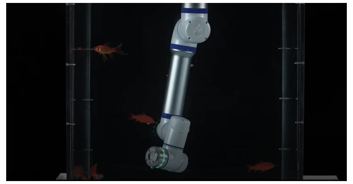 Elite Robots to Showcase European Premiere of Powerful CS620 Cobot with ...