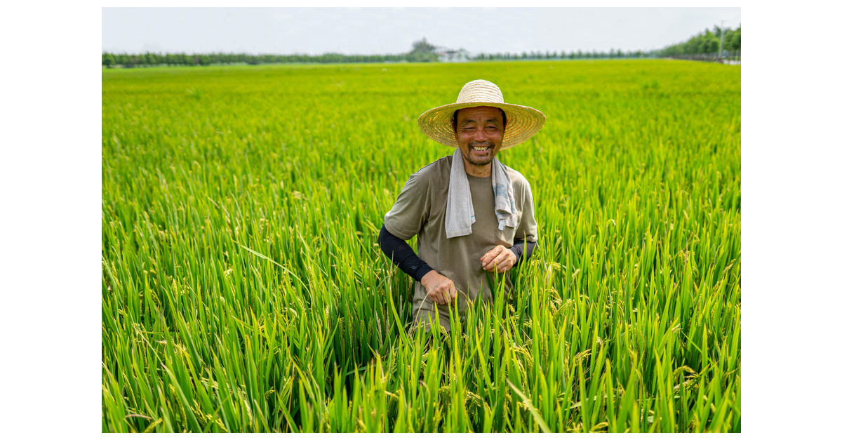 Syngenta and FMC to Commercialize Breakthrough Technology That ...