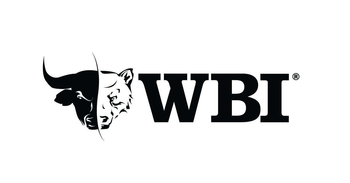 WBI and CyborgTech Introduce "Portfolios On Demand": A Groundbreaking ...