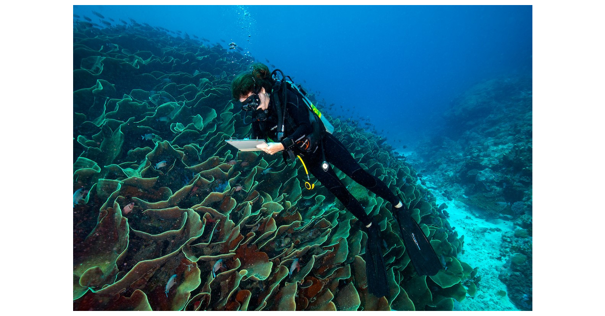 Mary Kay Celebrates Oceans Week by Reaffirming Partnership With the ...