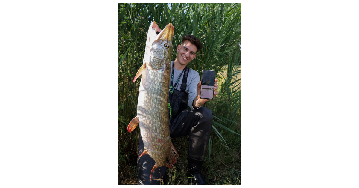 Populaire vis-app met toonaangevende technologie lanceert in Nederland ...