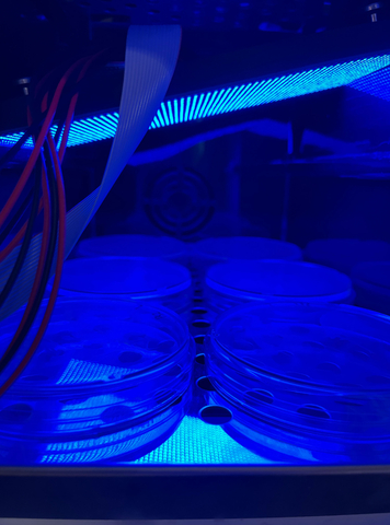 Integrated Biosciences Announces Synthetic Biology Platform Enabling ...