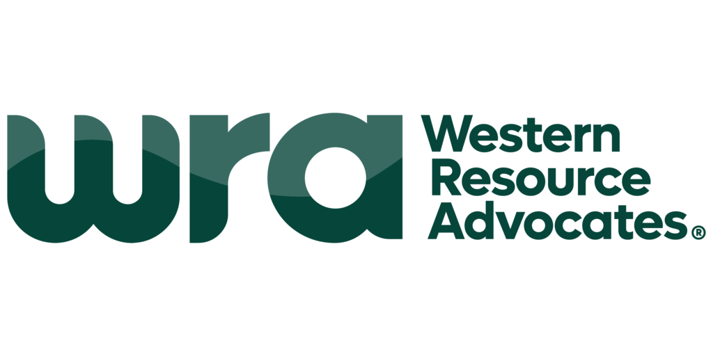 WRA Report: Xcel Energy Can Meet 2030 Gas System Decarbonization Goals ...
