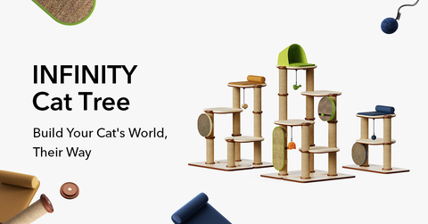Introducing the World's First Modular Cat Tree: PETLIBRO INFINITY ...