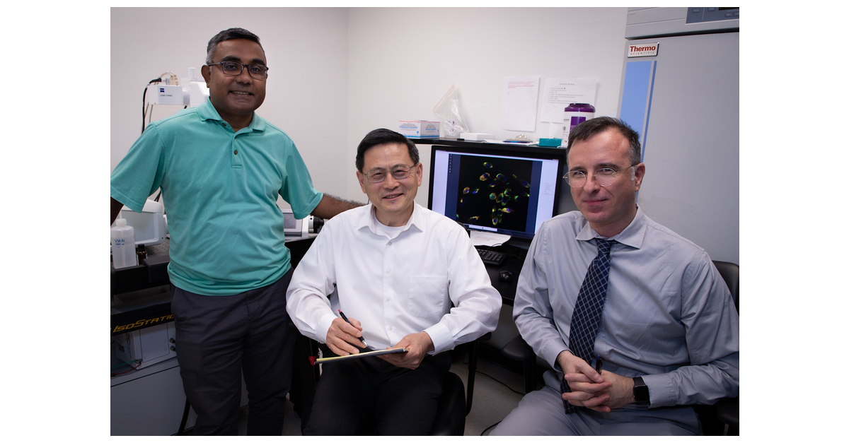 Feinstein Institutes Researchers Discover Defensive Molecules That Can ...