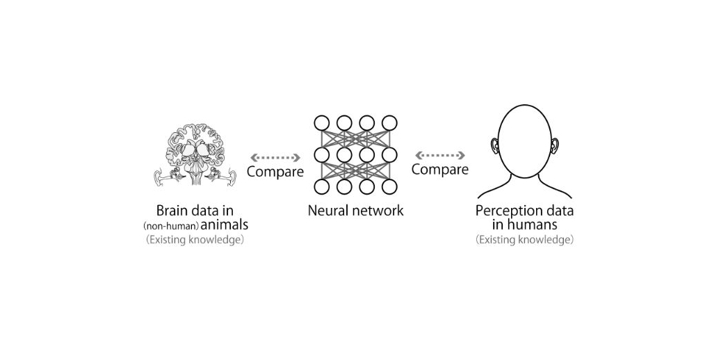 NTT Study: Artificial Neural Networks for Recognizing Natural Sounds ...