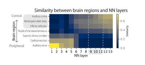 NTT Study: Artificial Neural Networks for Recognizing Natural Sounds ...