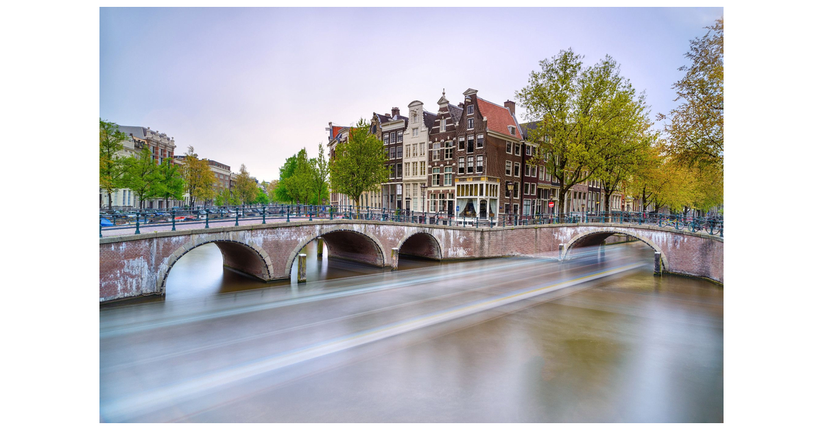 NSF Offers New Sustainable Forestry Initiative (SFI) Urban and ...