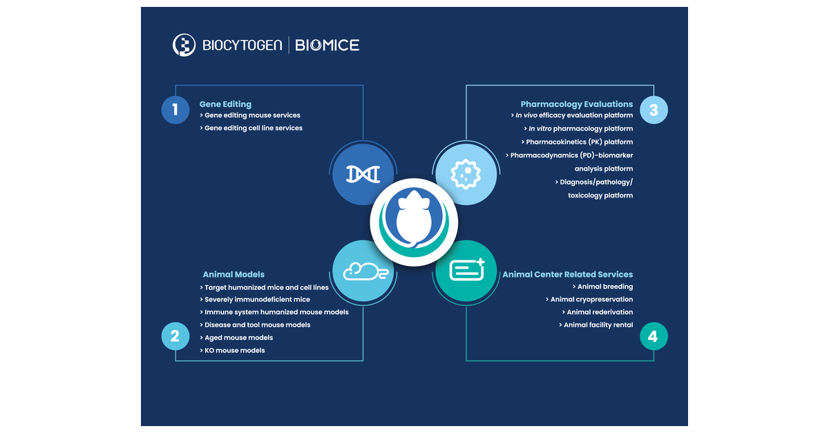 Biocytogen Establishes Two Business Divisions to Distinguish ...