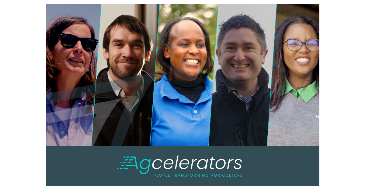 Meet Syngenta’s Agcelerators: People Transforming Agriculture ...