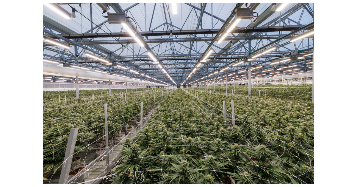 Green Fields utilise les appareils d'éclairage VYPR de Fluence pour ...