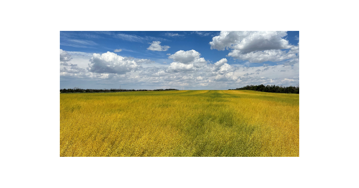 ADM and Syngenta Group Sign MoU to Support Low-Carbon Next-Generation ...