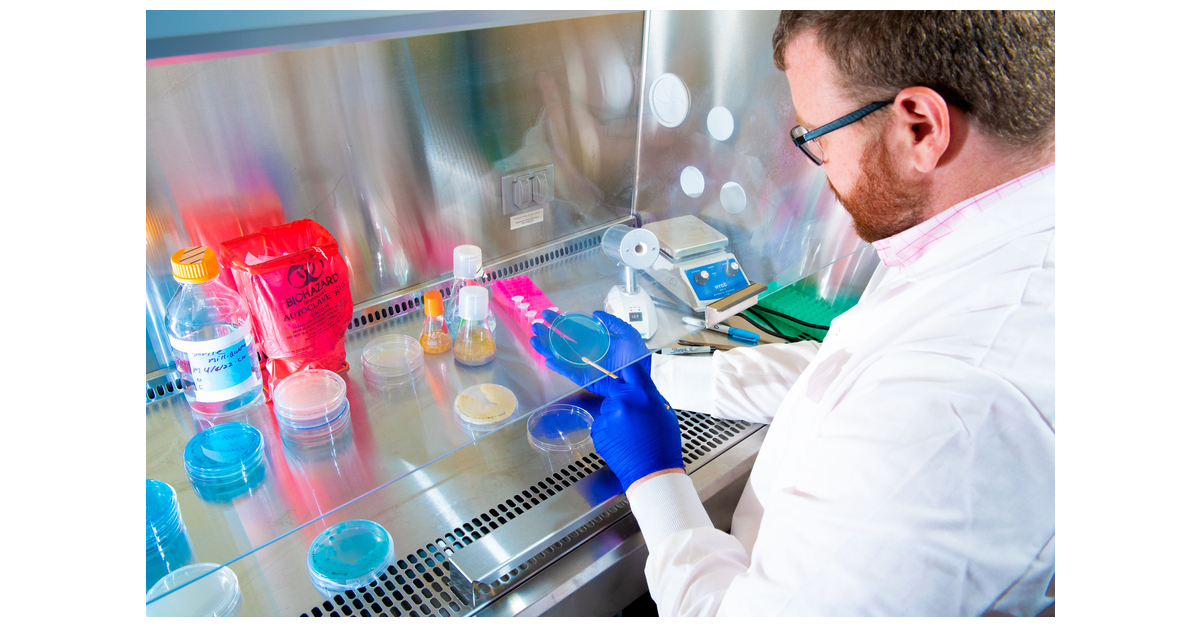 Endolith, a Cemvita subsidiary, Secures $1.1M DOE Grant to Accelerate ...