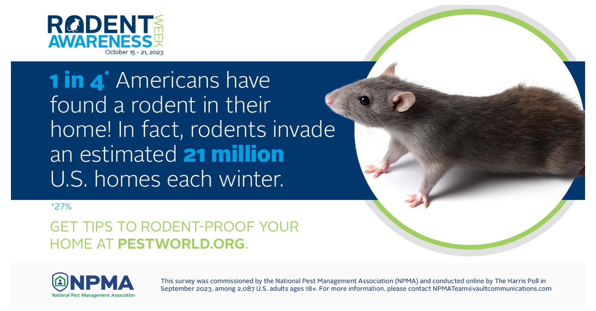 Rodents Are Scurrying Indoors. Here’s How Homeowners Can Keep Them Out ...