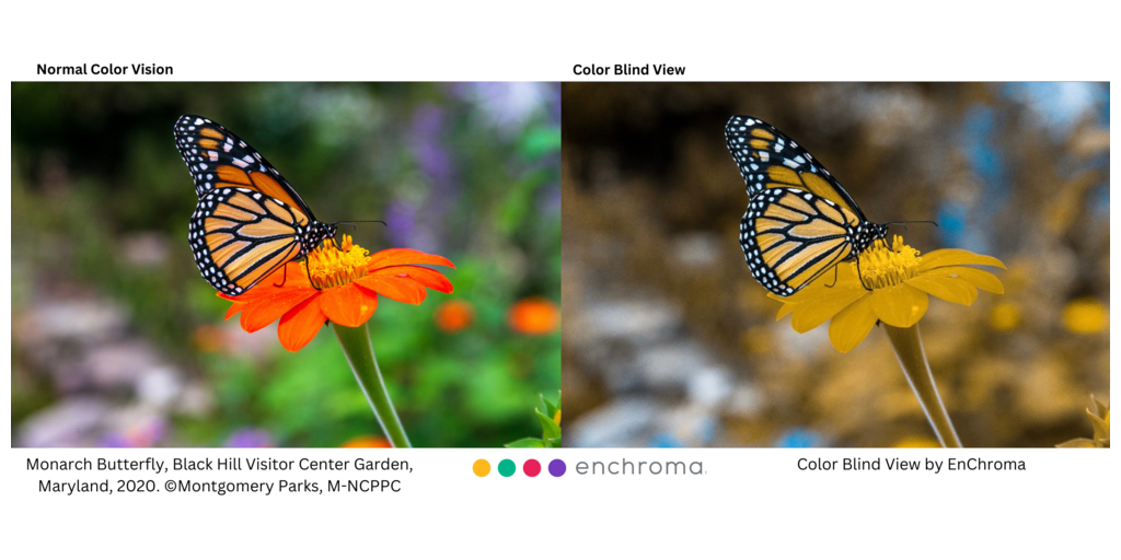 Montgomery Parks Helps Color Blind Visitors Experience Nature’s Colors ...