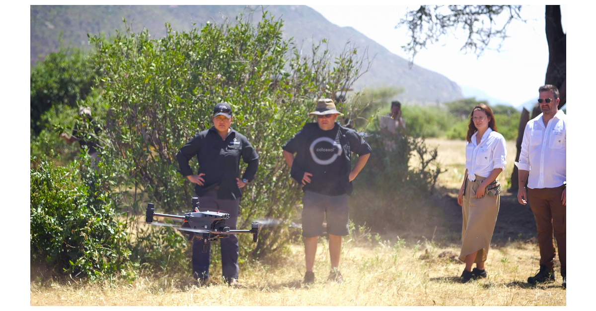 Colossal Biosciences and Save the Elephants Debut First-of-its-Kind ...