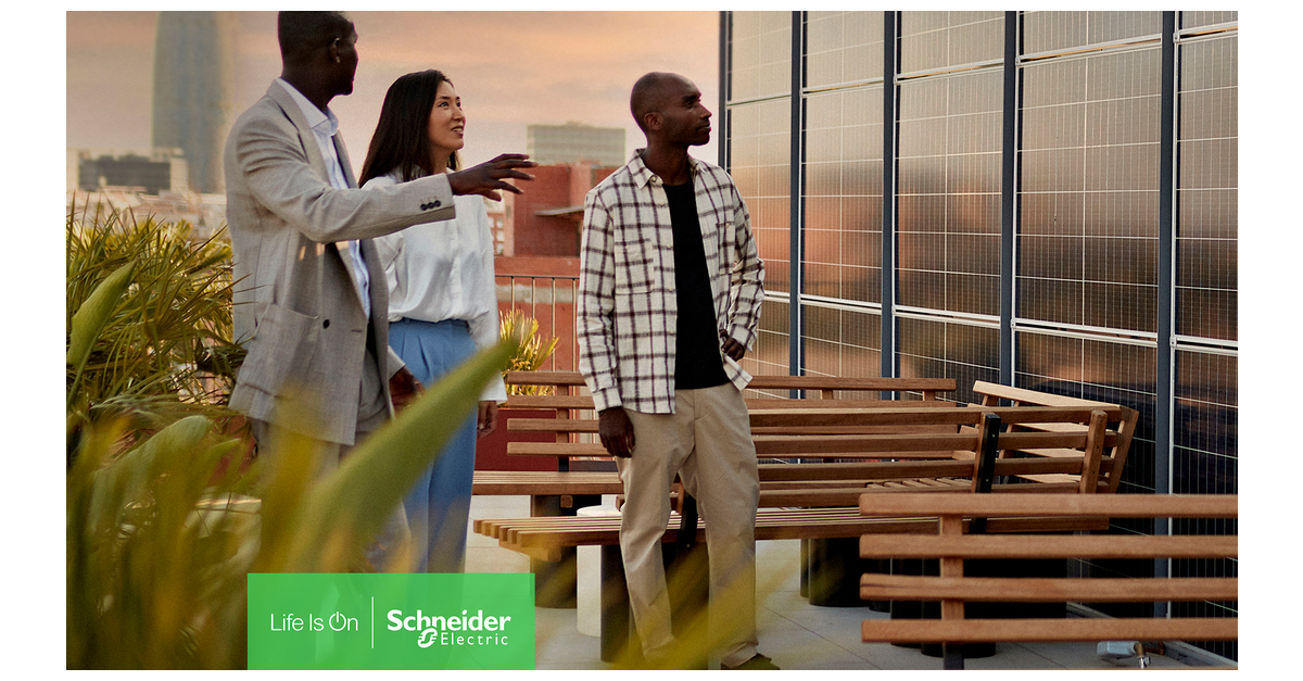 Schneider Electric Calls for Rapid Deployment of Smart Grids to ...