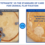 RevBio Receives FDA Approval to Conduct a First-in-Human Clinical Trial ...