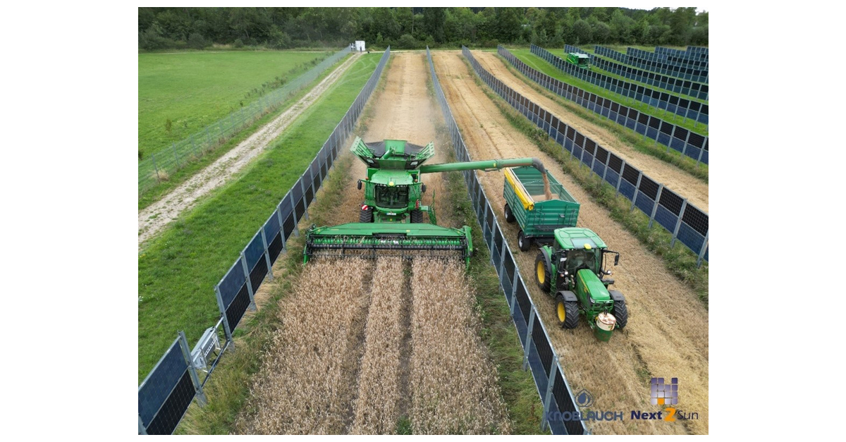 Next2Sun and iSun Build First Vertical Agrivoltaics System in the USA ...