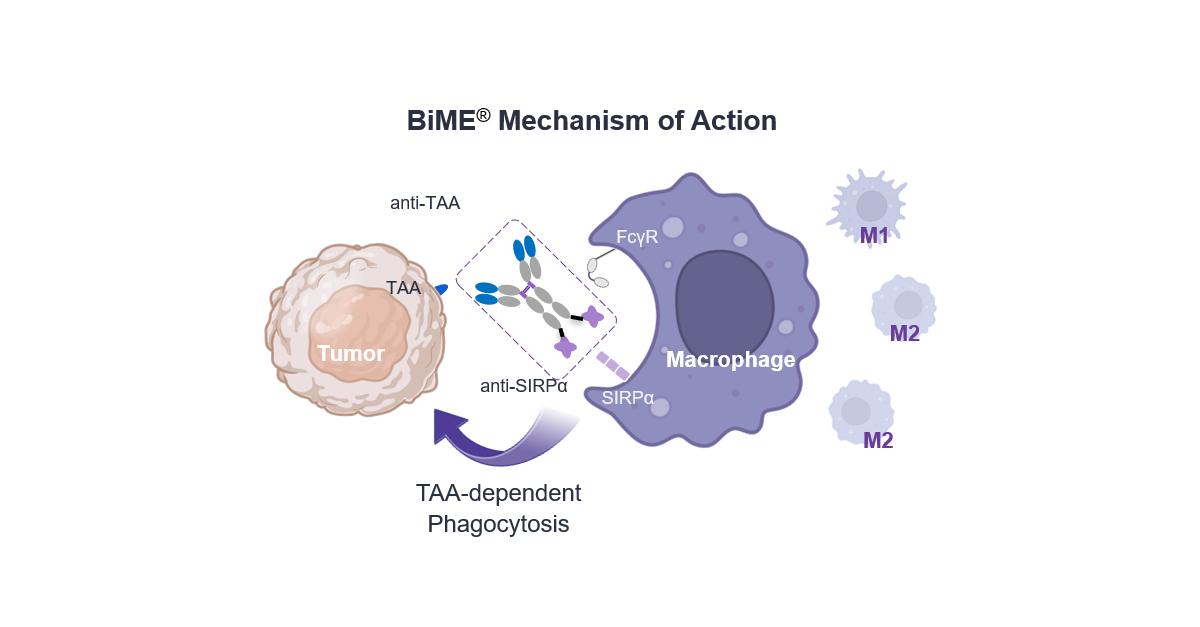 Elpiscience and Astellas Enter into Research Collaboration and License ...