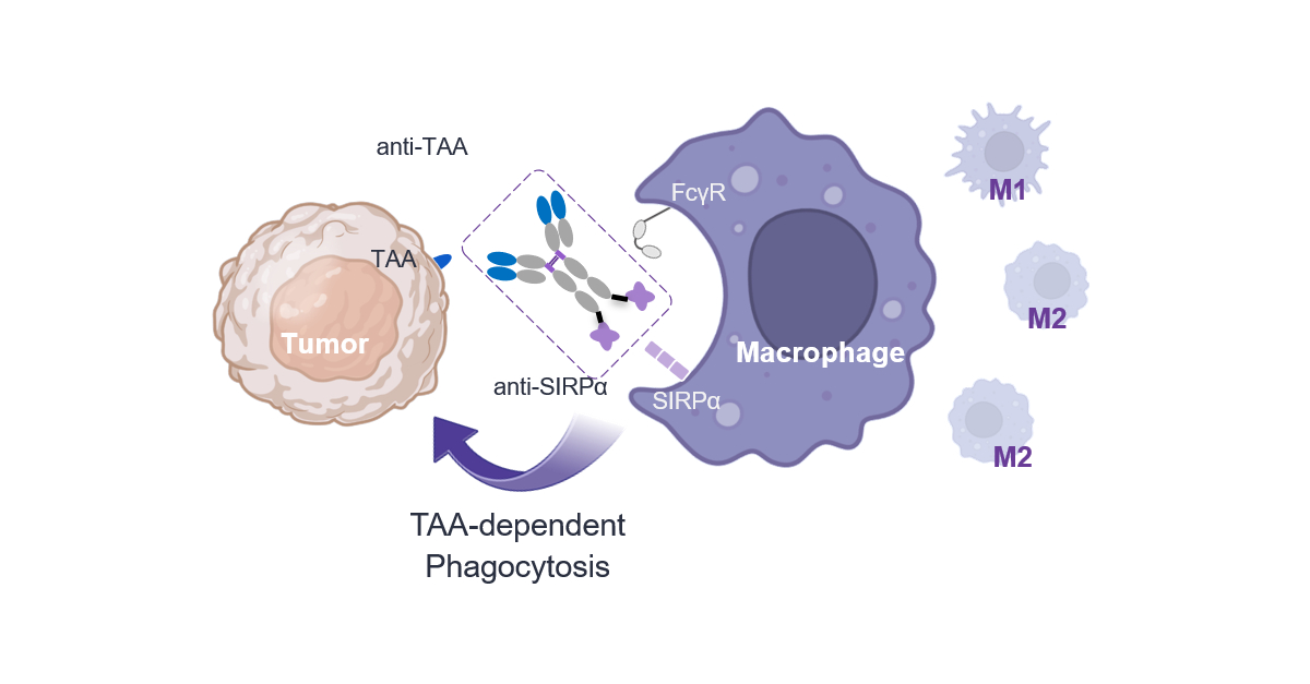 科望医药与安斯泰来就BiME®平台及候选药物达成合作开发及授权许可协议 | Business Wire