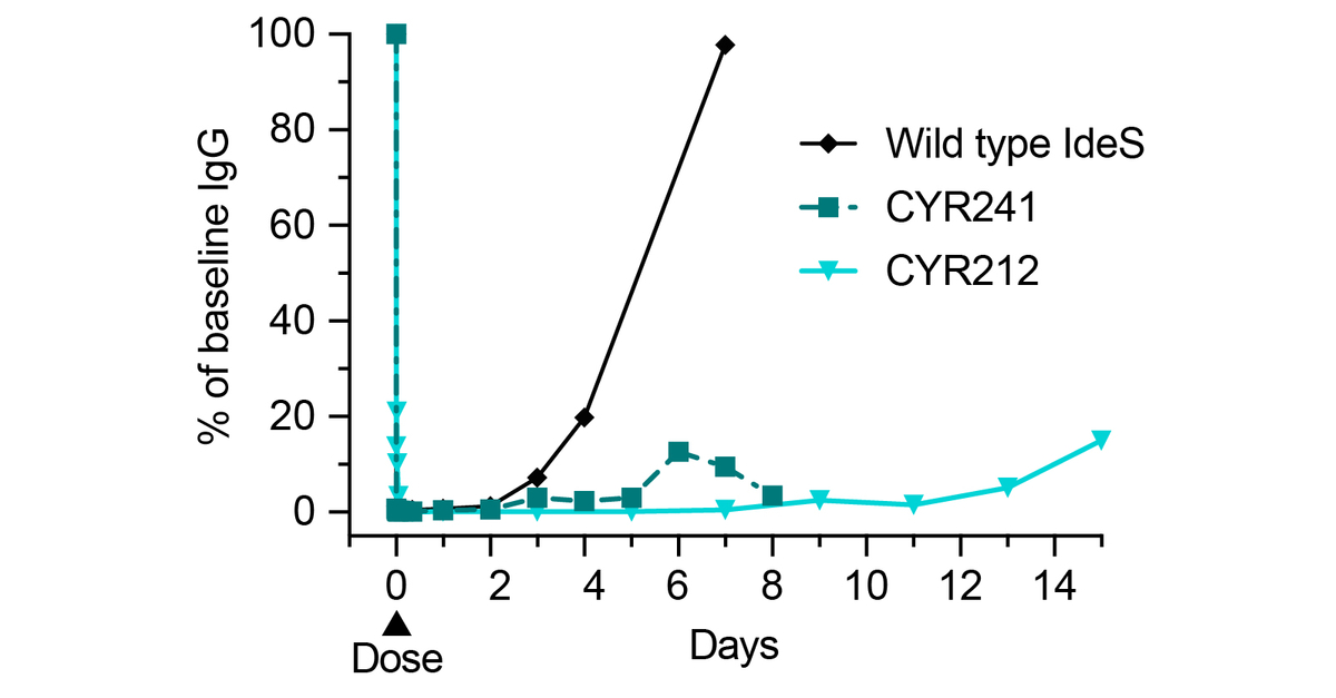 Cyrus Biotechnology to Present Its Novel IgG-degrading IdeS Enzyme ...
