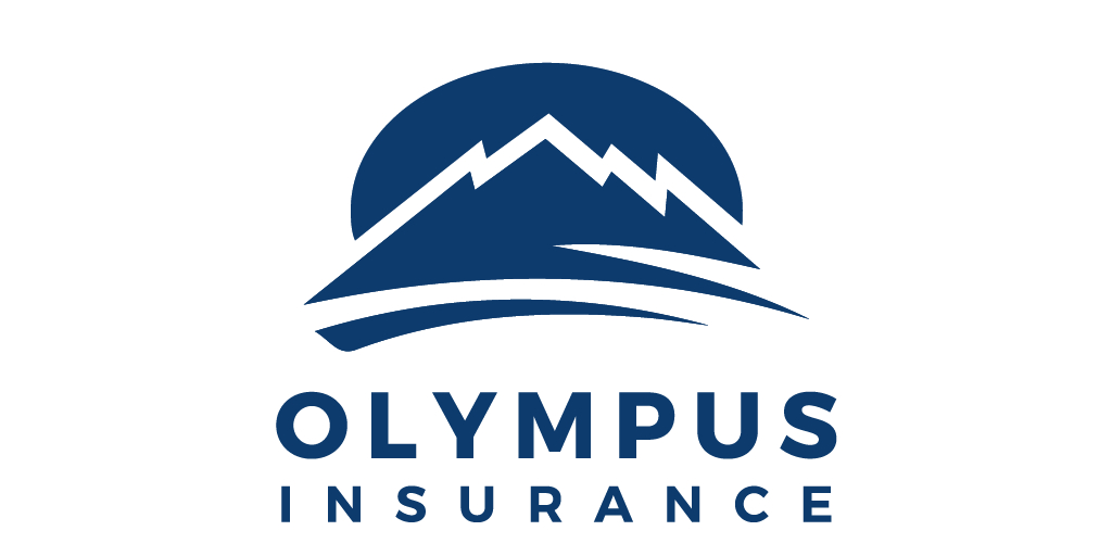 Dan Boxell Appointed as Chief Financial Officer of Olympus Insurance ...