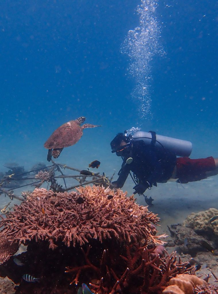 Tēnaka Partners with Orange Business to Scale Its Coral Reef ...