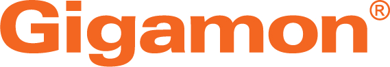 Gigamon 2023 Cloud Revenue Soars with Over 100 Percent Growth YoY as ...