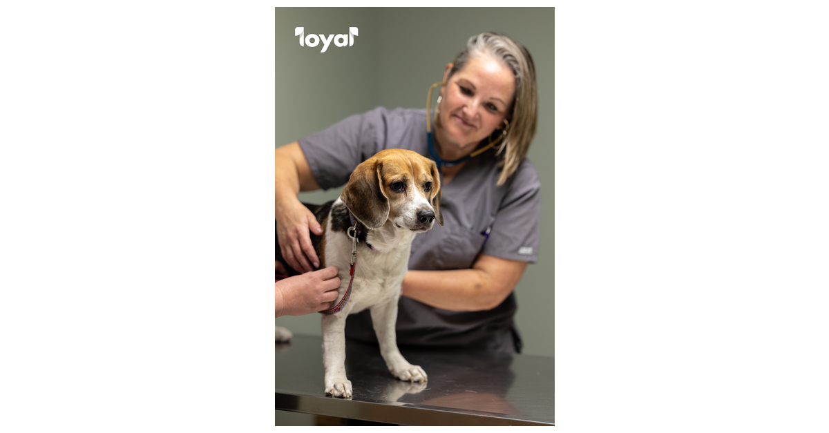 Loyal Announces $45 Million Series B Financing to Continue Development ...