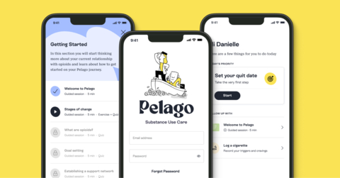 Pelago Announces $58 Million Series C Funding to Strengthen Leadership ...