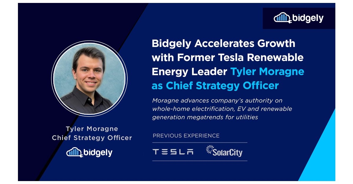 Bidgely Accelerates Growth with Former Tesla Renewable Energy Leader ...