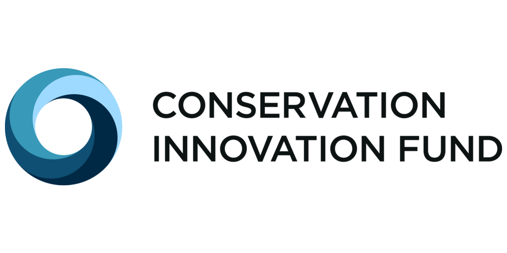 vector innovation fund